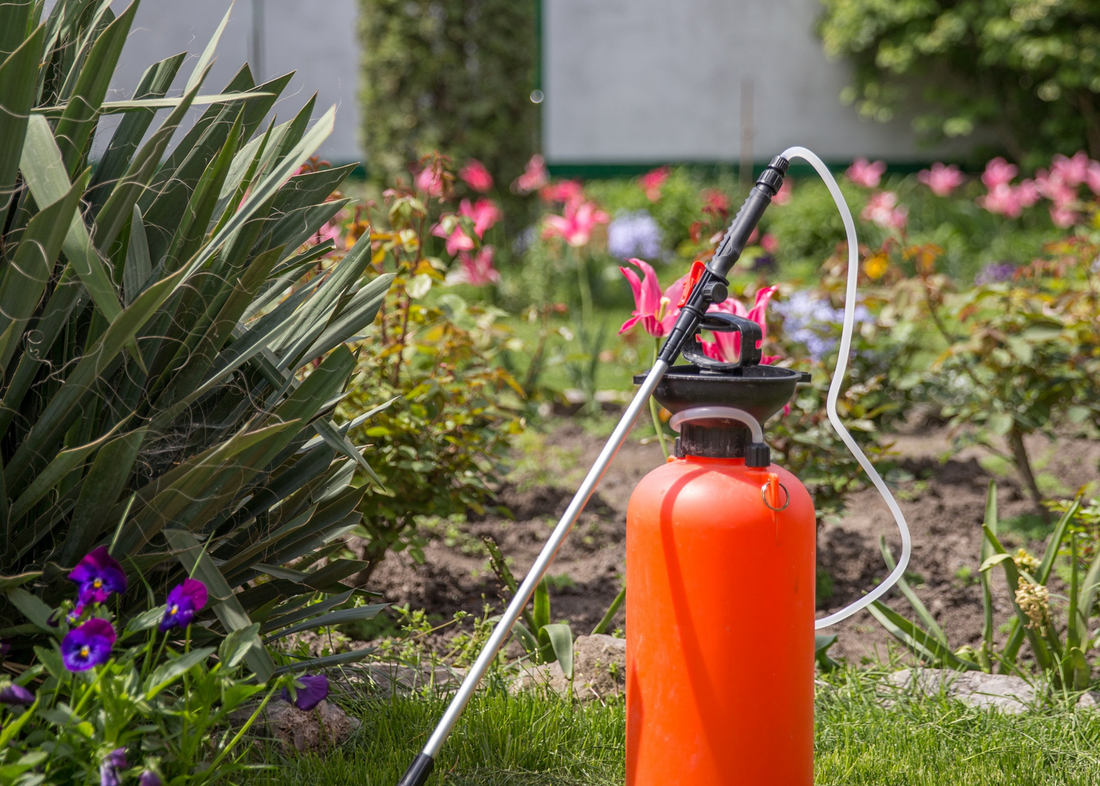 SERVICES WE OFFER – Master exterminator